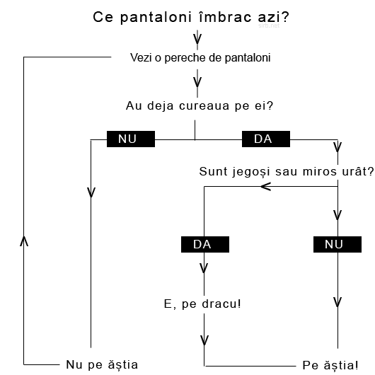 Schemă logică – OVIDIU SÎRB